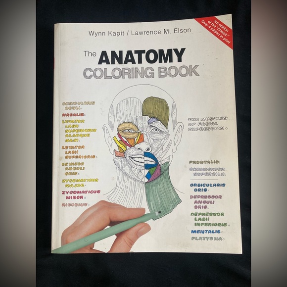 kapit | Accents | Anatomy Coloring Book Never Used Like New | Poshmark